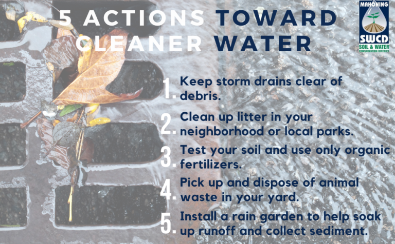5 Actions You Can Take To Help Promote Clean Water - Mahoning Soil ...